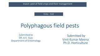 Polyphagius insects of field crops | PPTX