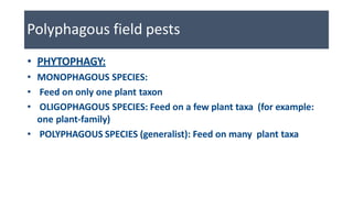 Polyphagius insects of field crops | PPTX