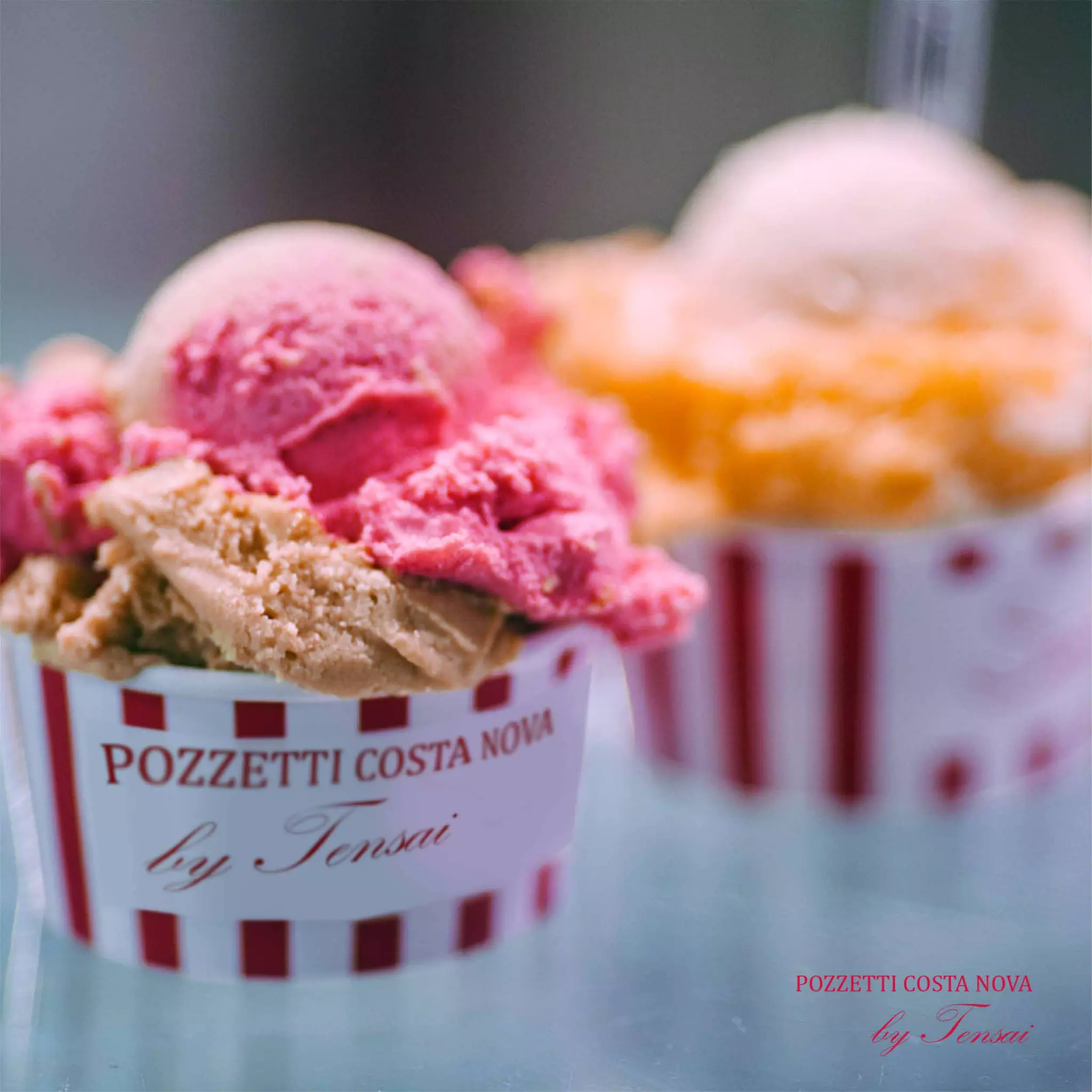 Pozzetti ice cream display case & gelato showcase - tensai industria | PDF