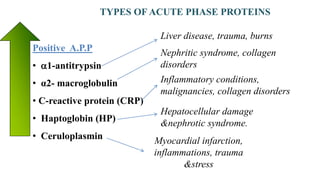 PP-02: Plasma Proteins (Globulins, Acute phase proteins, Transport ...