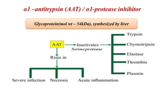 PP-02: Plasma Proteins (Globulins, Acute phase proteins, Transport ...