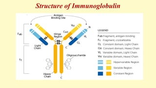 PP- 03: Immuno globulins | PPT
