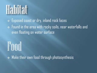 enbe power point | PPTX