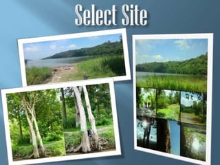 enbe power point | PPTX