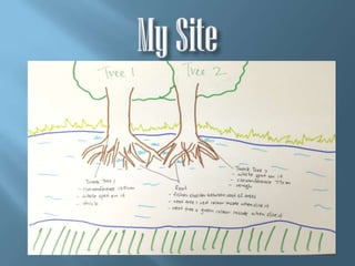 enbe power point | PPT