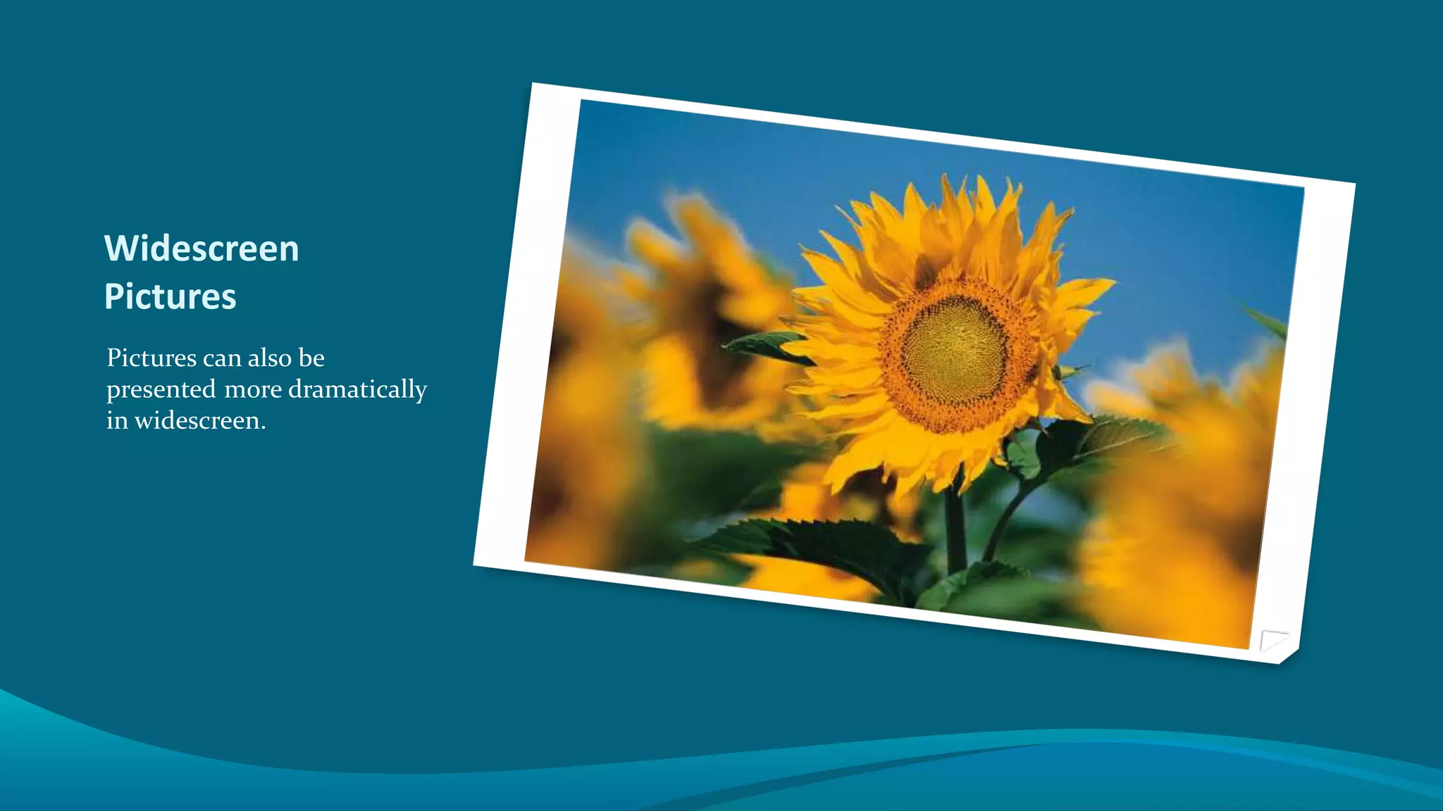 Widescreen PowerPoint | PPT