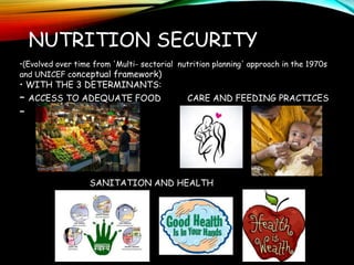 assessing food and nutritional security | PPTX
