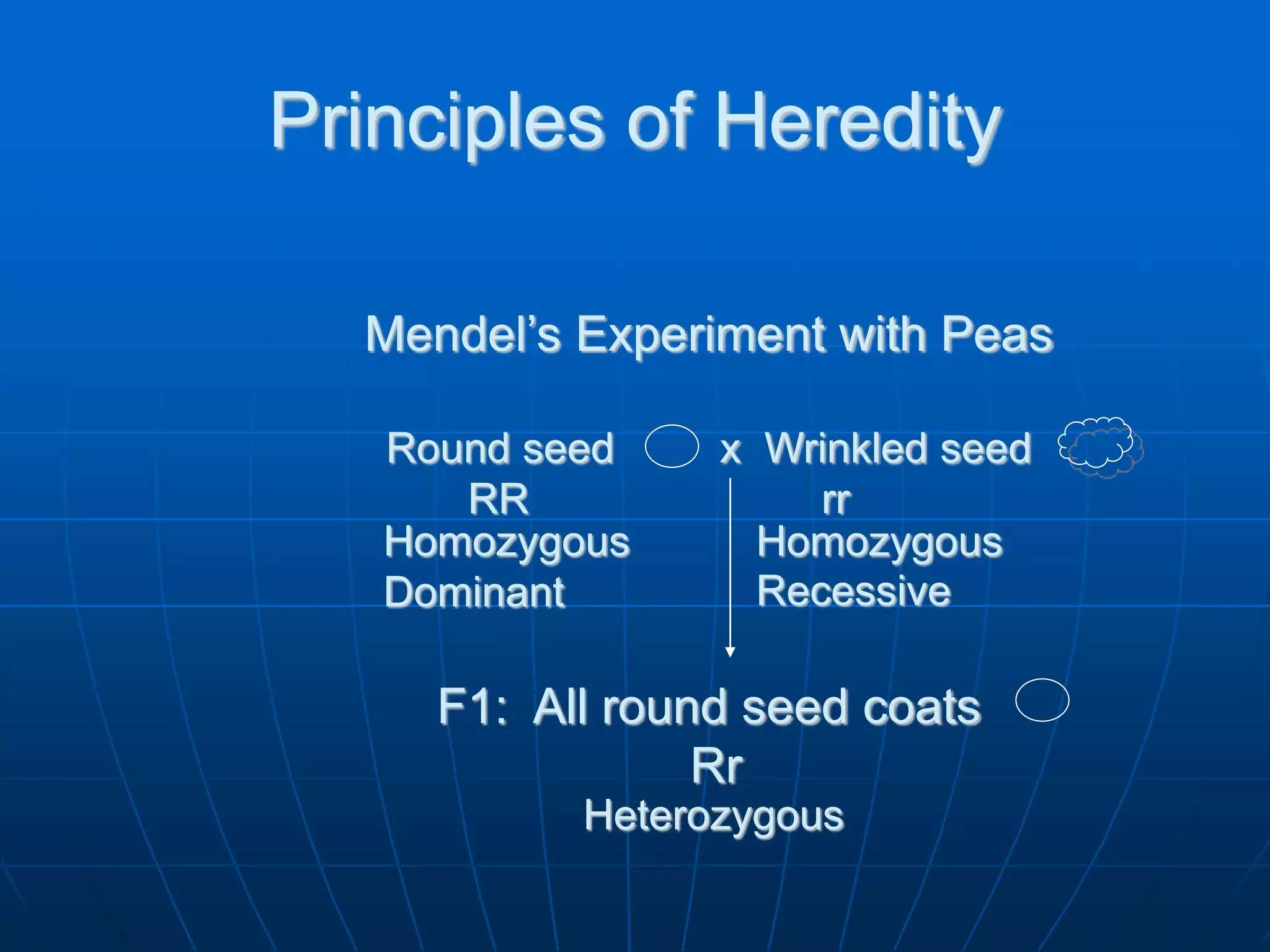 PP. GENETIKA MENDEL 1.pptx