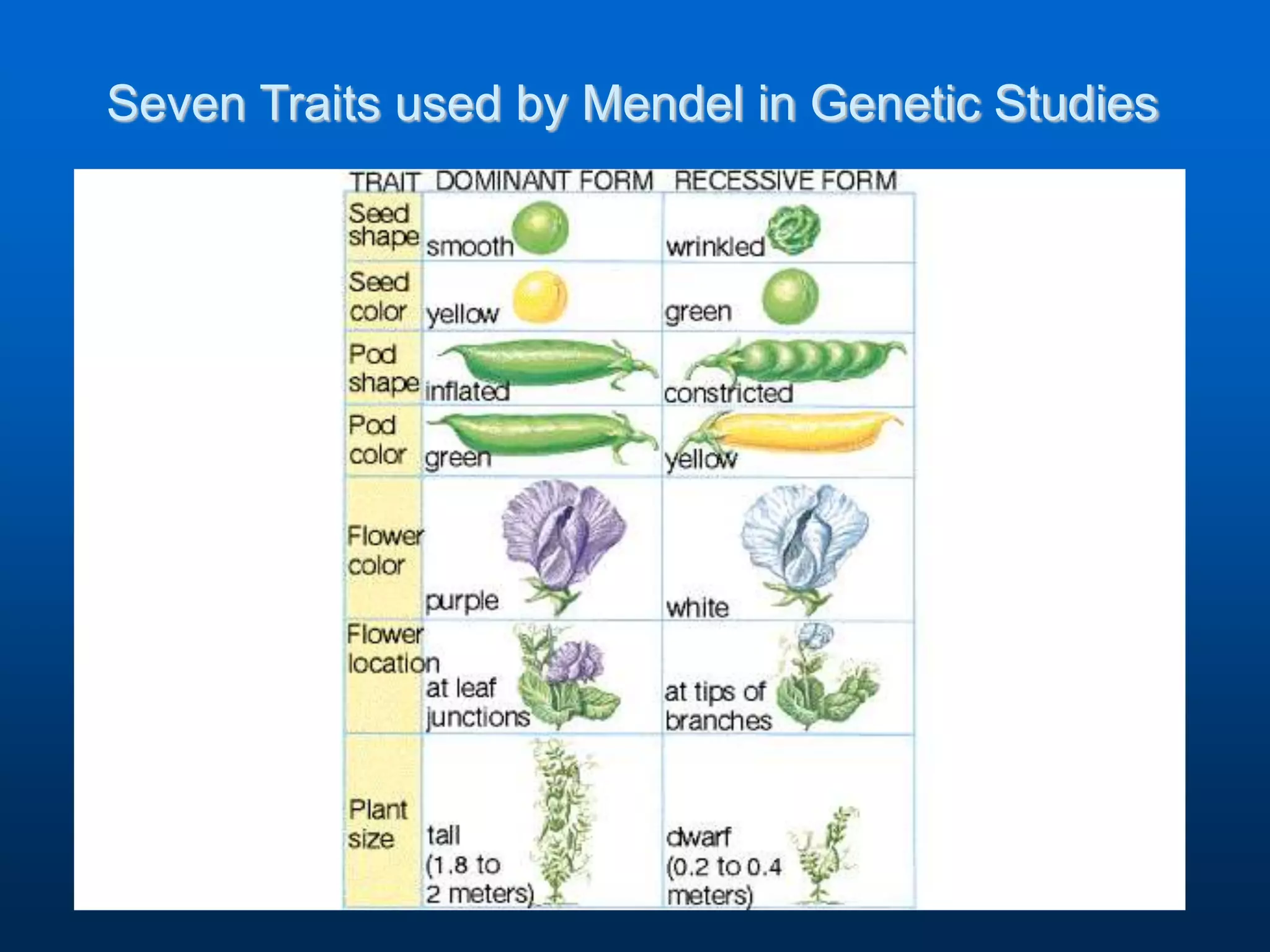 PP. GENETIKA MENDEL 1.pptx