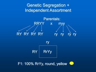 PP. GENETIKA MENDEL 1.pptx