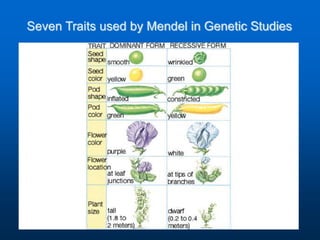 PP. GENETIKA MENDEL 1.pptx