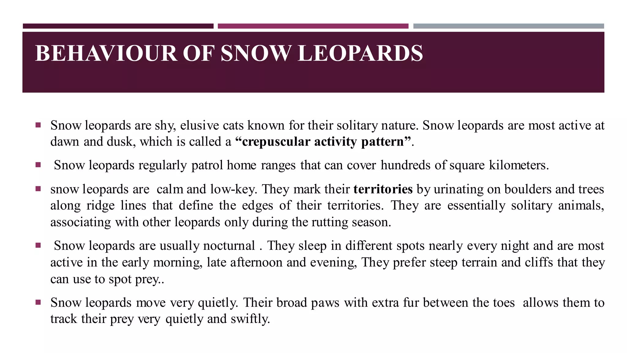 Snow Leopard | PDF