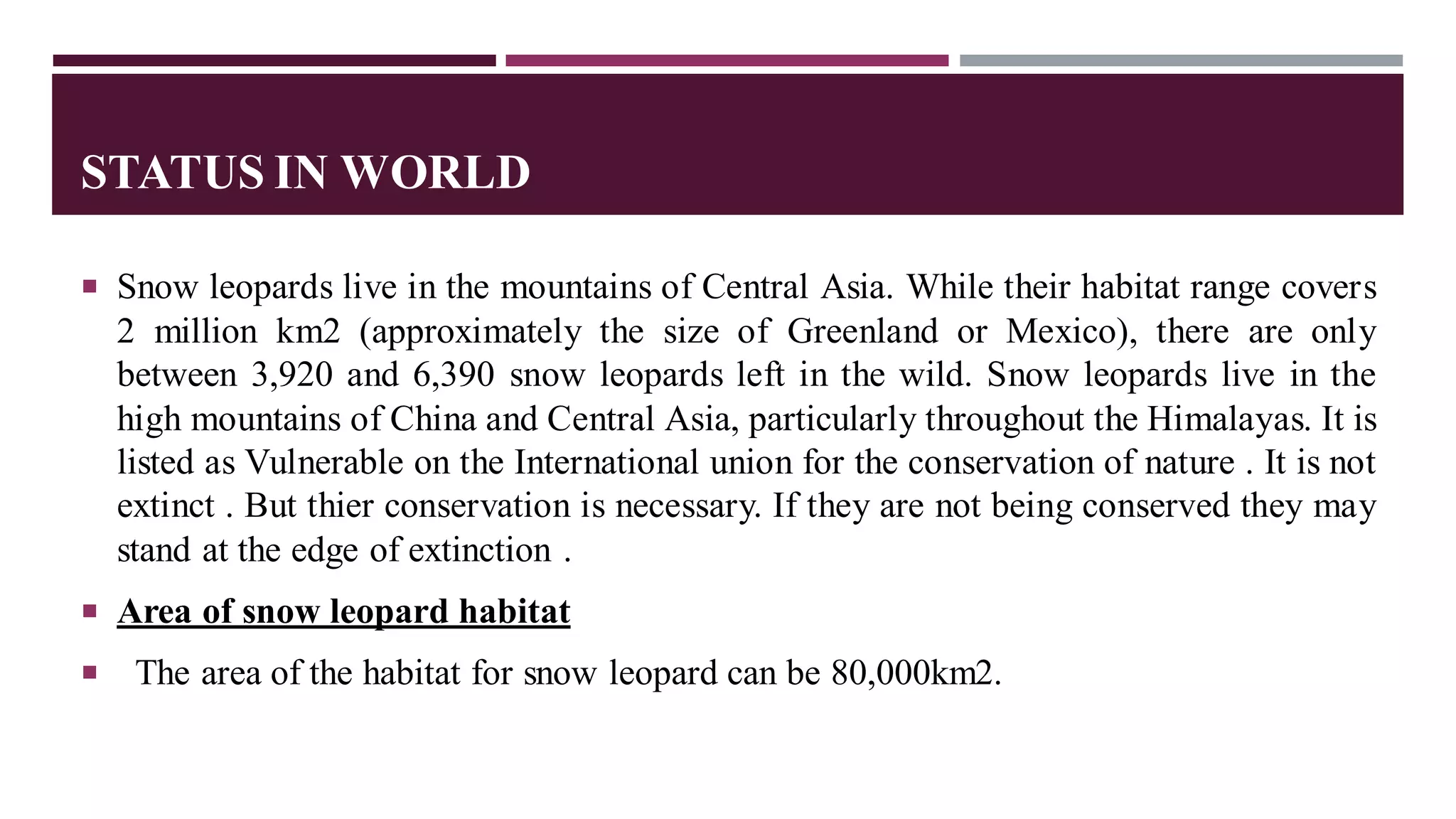 Snow Leopard | PDF