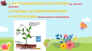 PLANT RESISTANCE TO BIOTIC | PPT