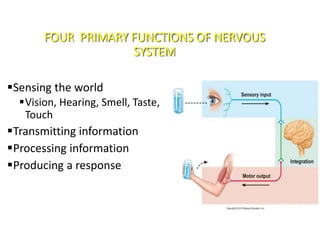 pppppppppppppppppppppppppppppppppppppppp.pptx