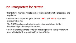 Molecular mechanism of Ion uptake, Ion transporters for Nitrate | PPTX