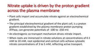 Molecular mechanism of Ion uptake, Ion transporters for Nitrate | PPTX