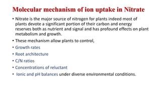 Molecular mechanism of Ion uptake, Ion transporters for Nitrate | PPTX