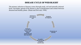 Web blight of mungbean | PPTX