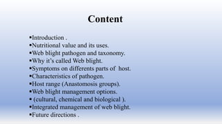 Web blight of mungbean | PPTX