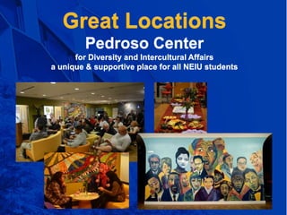 Northeastern Illinois University Presentation by Study Metro | PPTX
