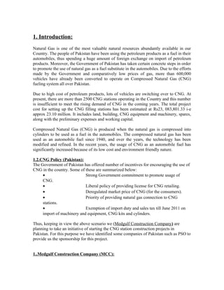 CNG station construction project report. | DOC