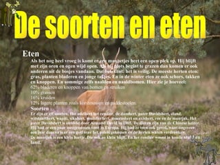 Pp Fleur Herten | PPT | Large Animals | Pets