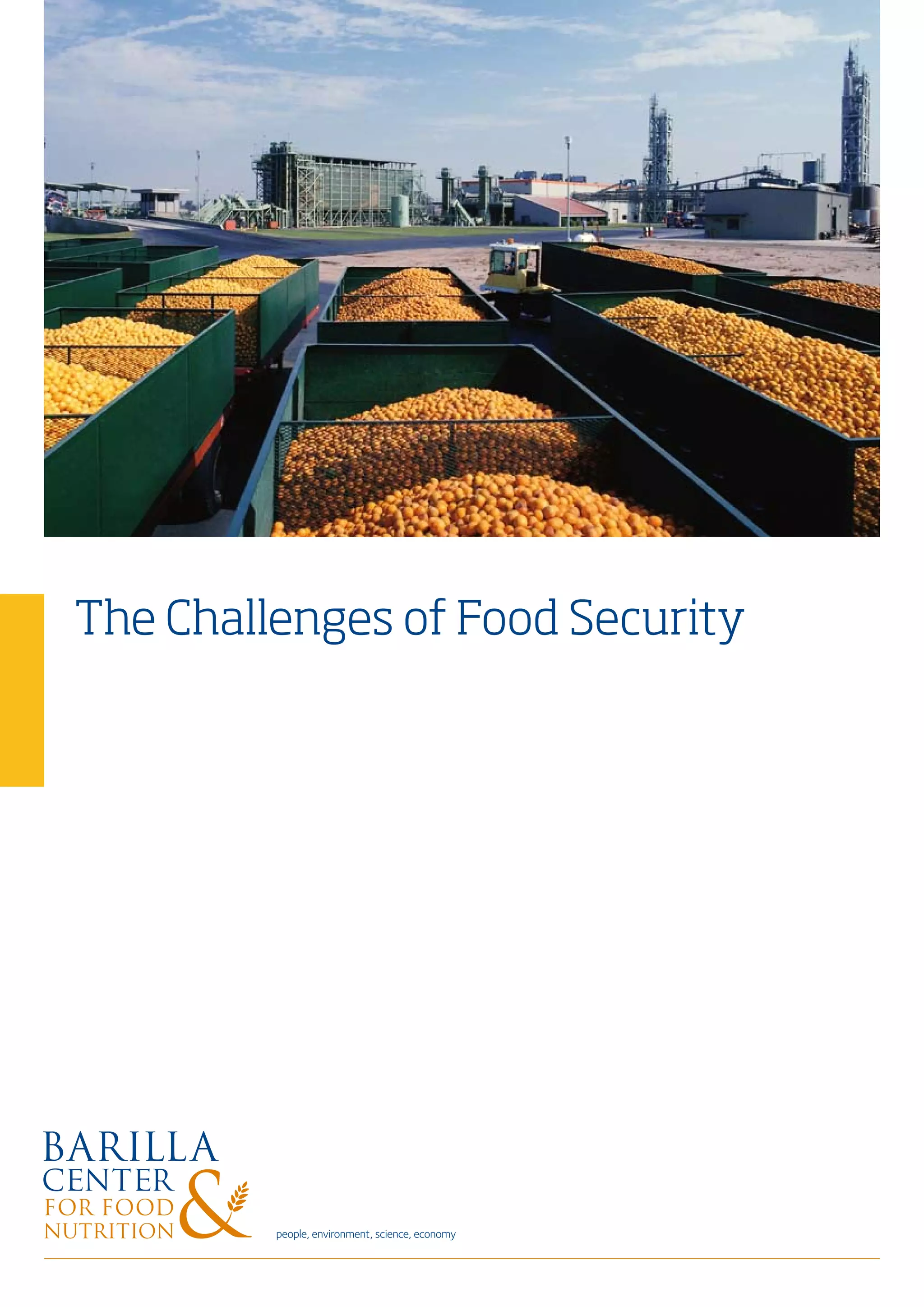 Position Paper: The Challenges of Food Security | PDF