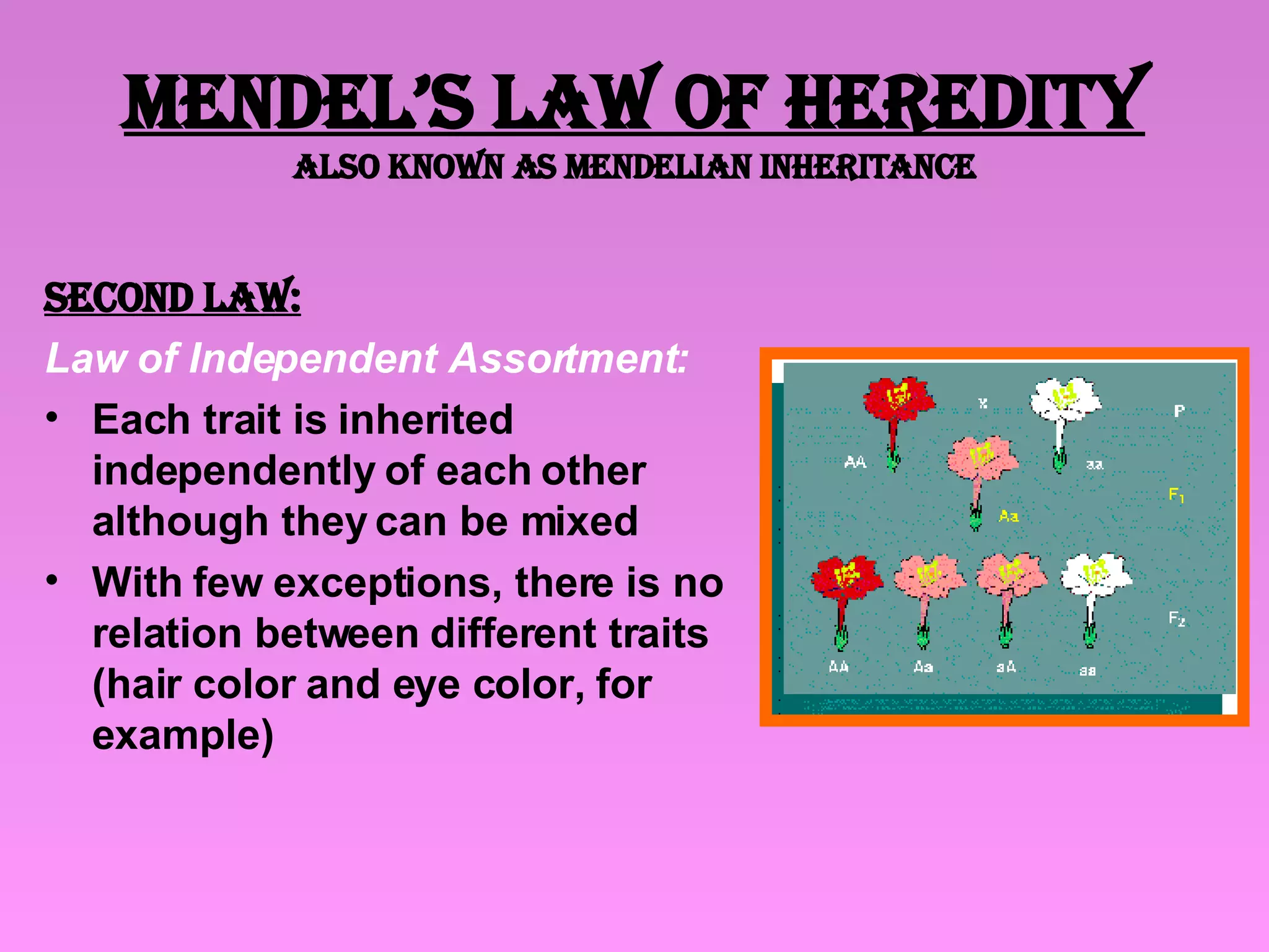 PP Lesson Plan Mendel Intro Derek H | PPT | Genetics | Science