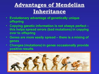 PP Lesson Plan Mendel Intro Derek H | PPT | Genetics | Science