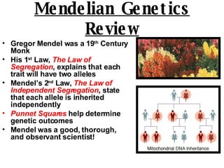 PP Lesson Plan Mendel Intro Derek H | PPT | Genetics | Science