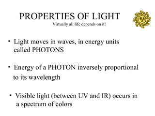 PP-Photosynthesis and Cellular Respiration-0.ppt