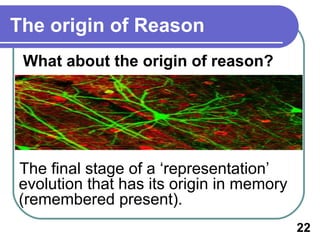 P.P. Presentation Man Neurology | PPT
