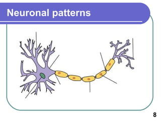 P.P. Presentation Man Neurology | PPT