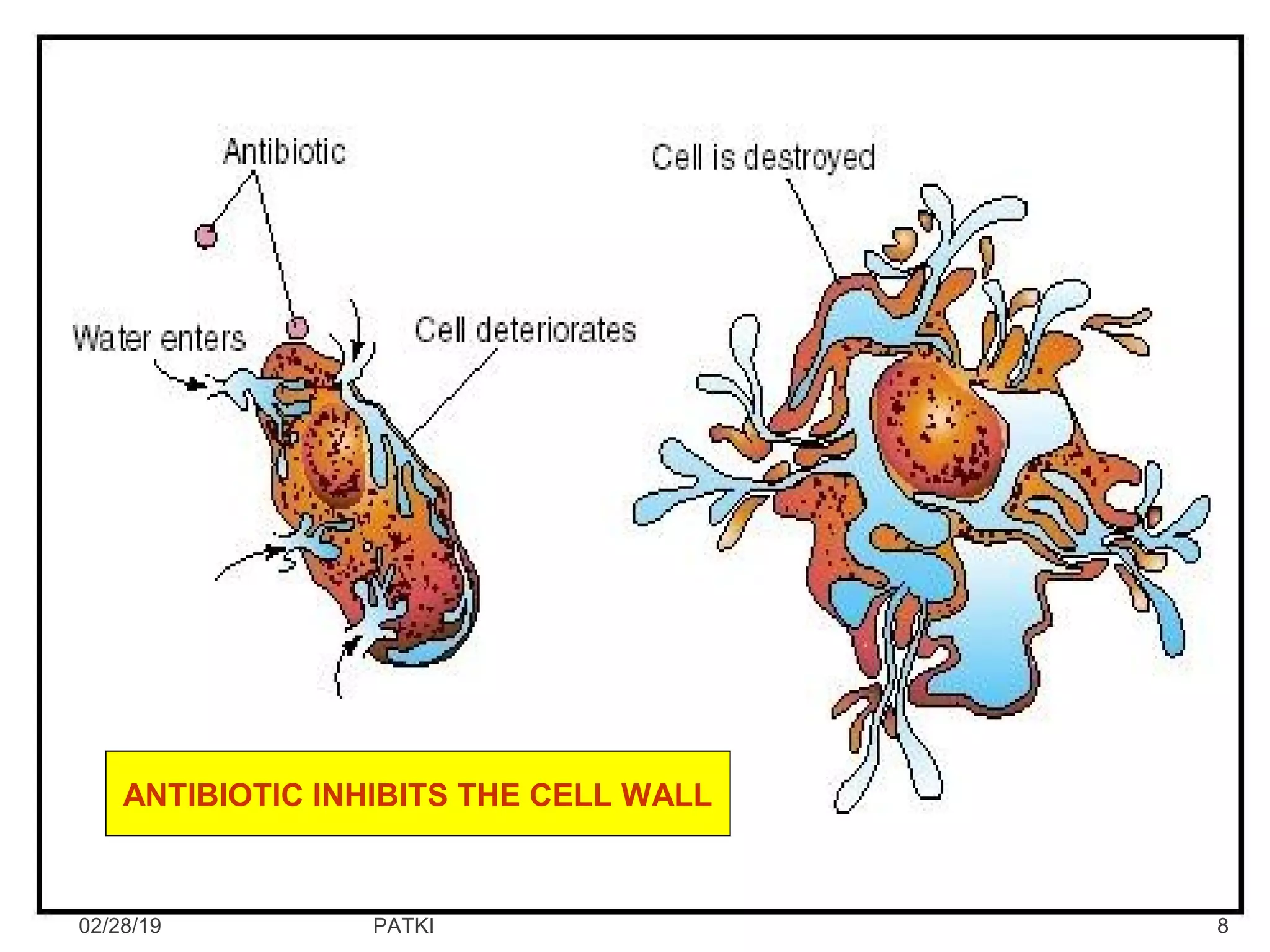 Pp principles of antimicrobial drugs | PPT