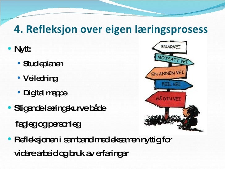 Refleksjonsfotograferingspytt