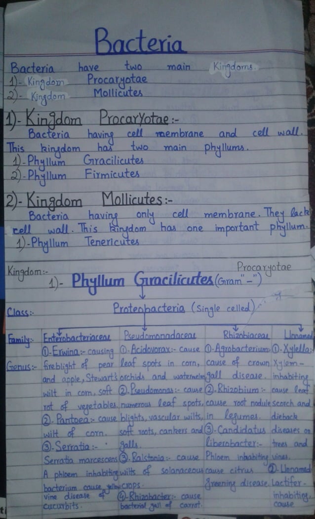 Plant pathology first samestar cours | PDF
