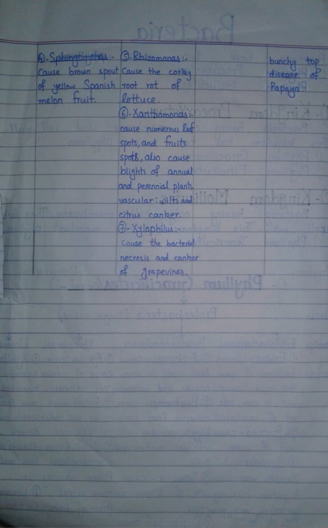 Plant pathology first samestar cours | PDF