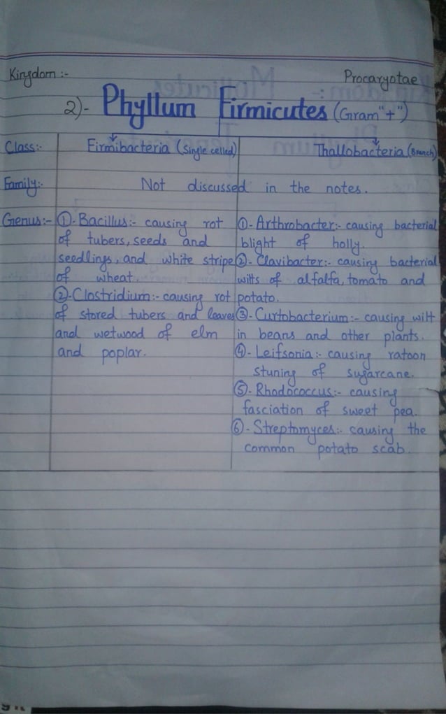 Plant pathology first samestar cours | PDF