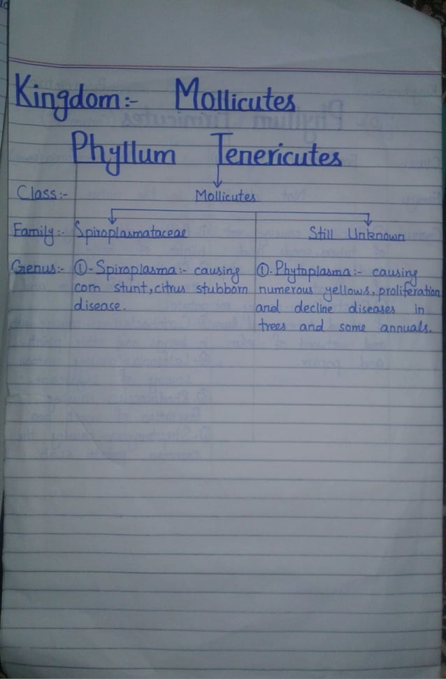 Plant pathology first samestar cours | PDF