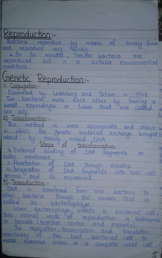 Plant pathology first samestar cours | PDF