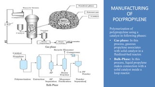 Polypropylene Fibers | PPTX