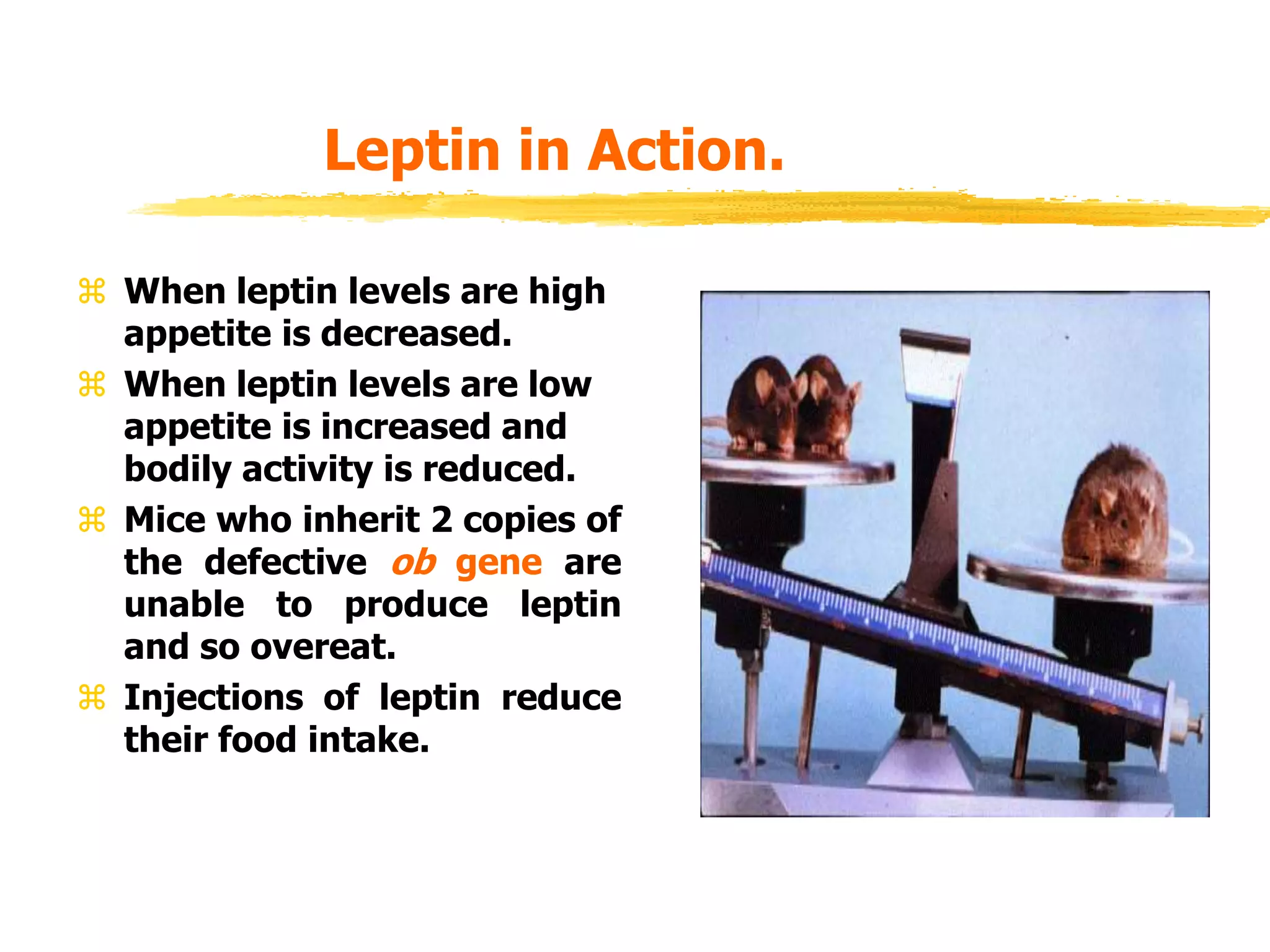 Hormones in human body , biological bases of behavior | PPT