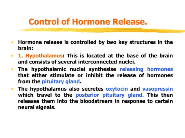 Hormones in human body , biological bases of behavior | PPT