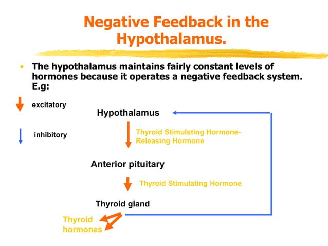 Hormones in human body , biological bases of behavior | PPT
