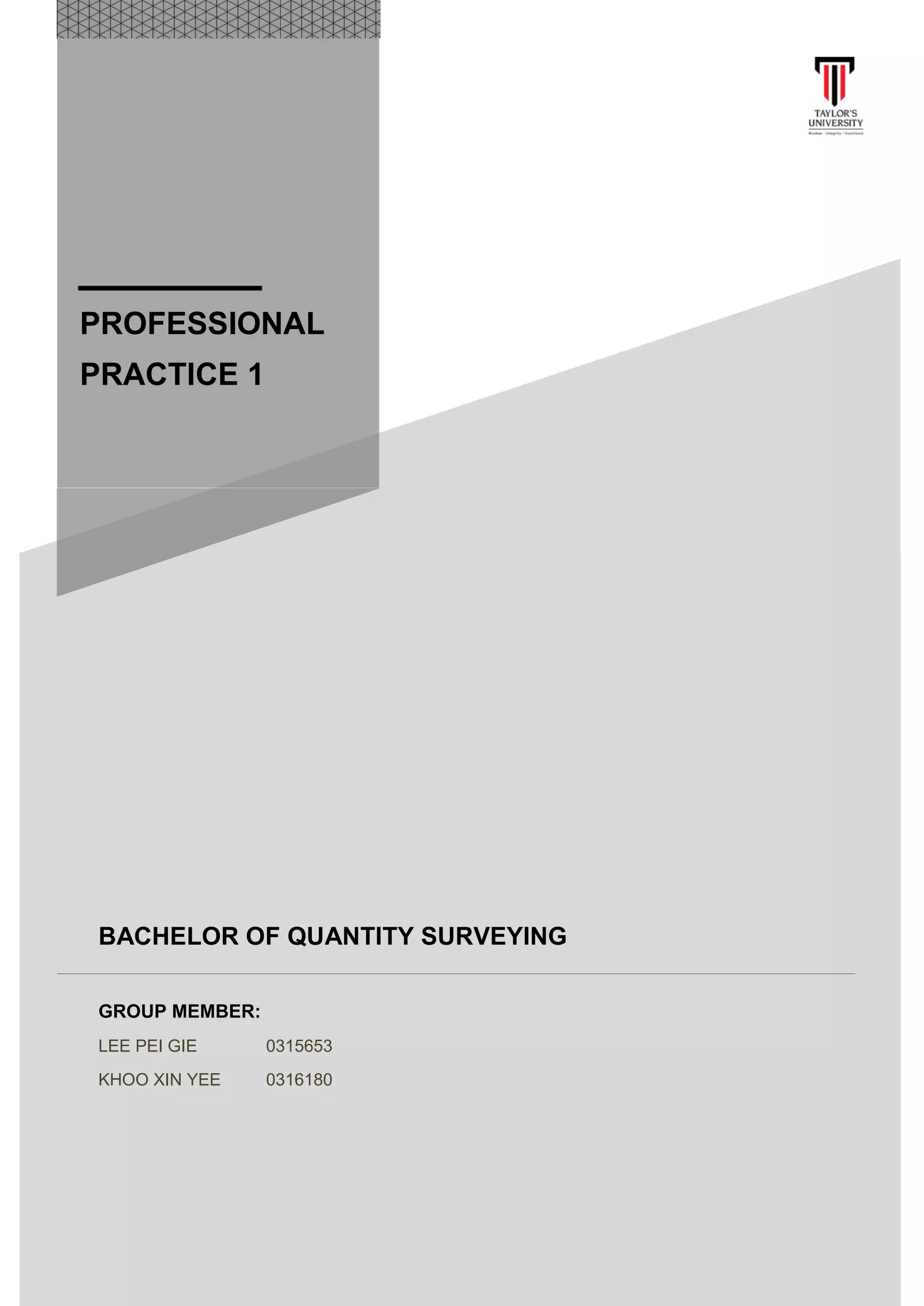 Professional Practice 1 | PDF