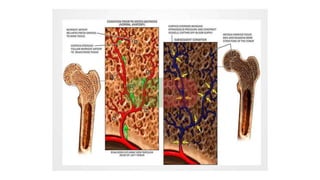 NGUYÊN TẮC SỬ DỤNG CORTICOID | PPT