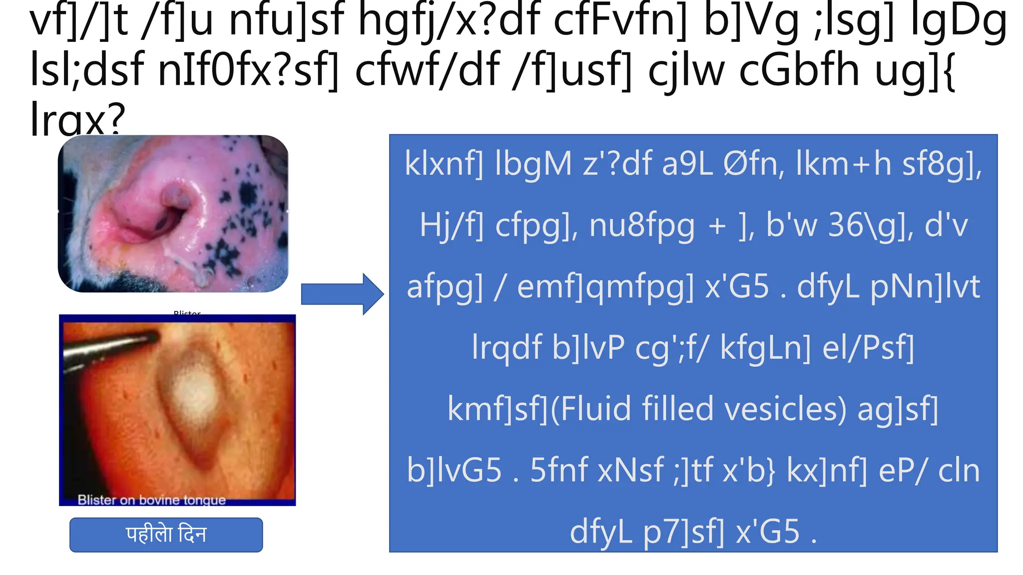 pp1.pptxmghfkfm,kghfhvhjbjhgbjumhgbvjhbj,b | PPTX