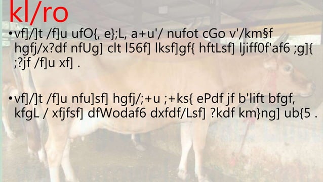 pp1.pptxmghfkfm,kghfhvhjbjhgbjumhgbvjhbj,b | PPT