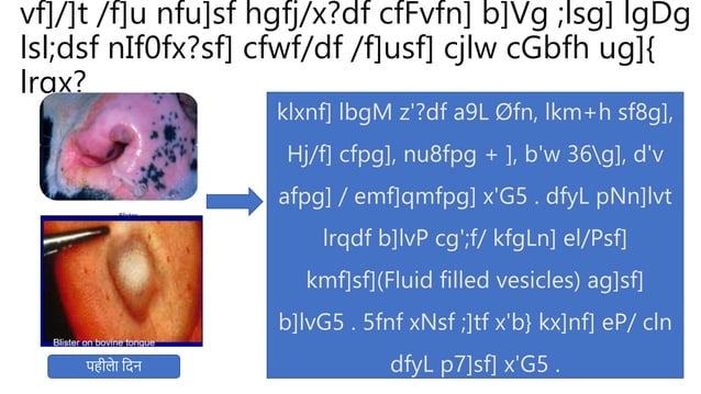 pp1.pptxmghfkfm,kghfhvhjbjhgbjumhgbvjhbj,b | PPT